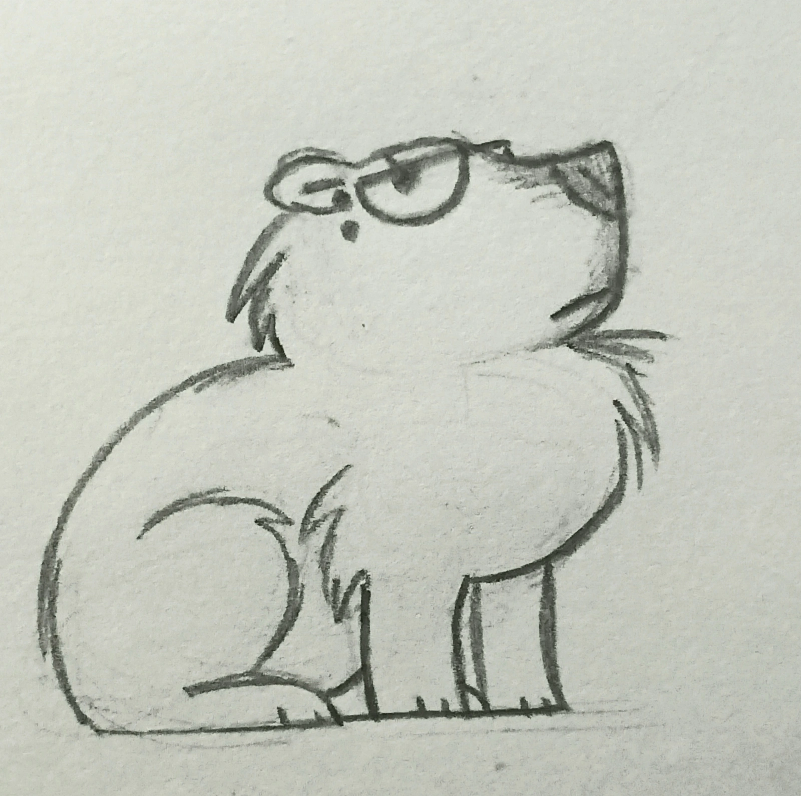 Ocs as animals 🤯😛 - Unvale